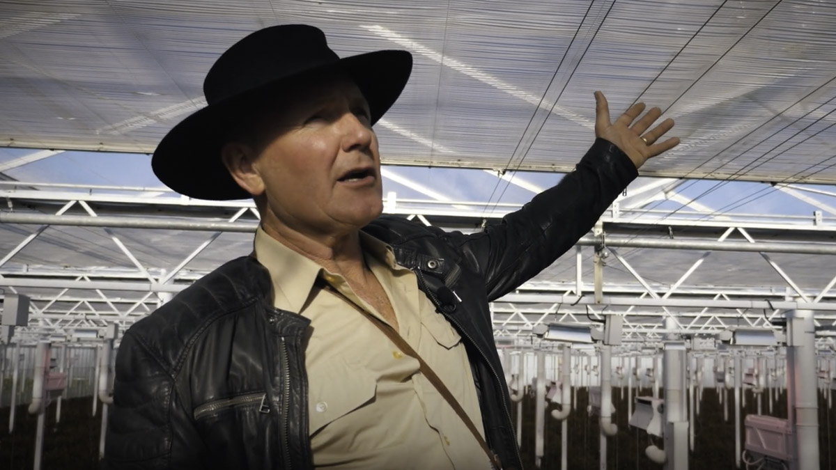 Porta-nova-Queste-for-the-perfect-climate-08 - Porta Nova