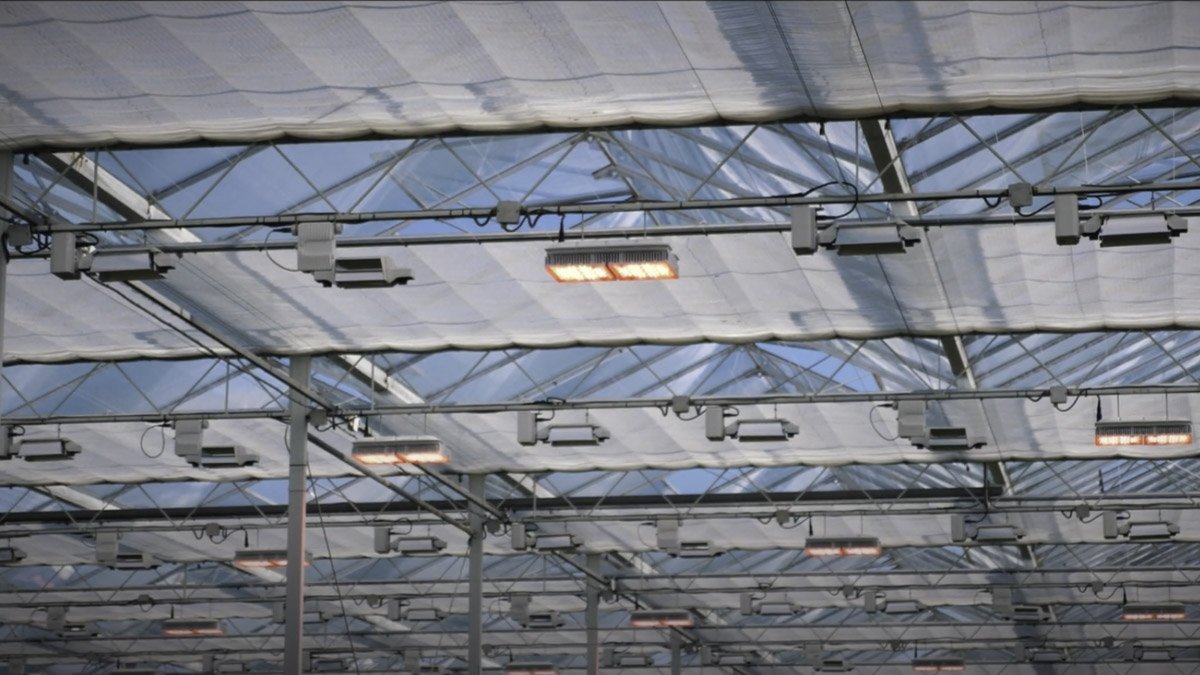 Porta-nova-Queste-for-the-perfect-climate-09 - Porta Nova