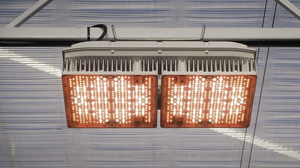 Porta-nova-Queste-for-the-perfect-climate-11 - Porta Nova