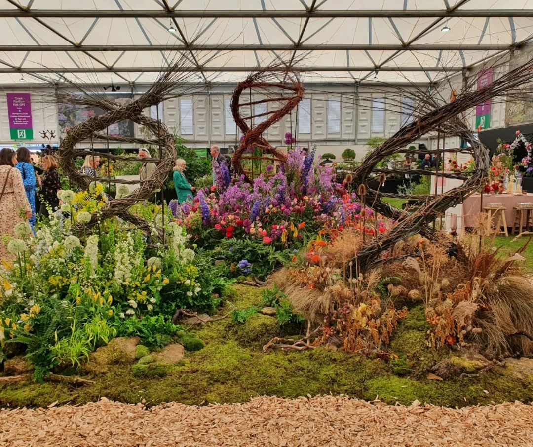 RHS POST EVENT UPDATED 2 - Porta Nova