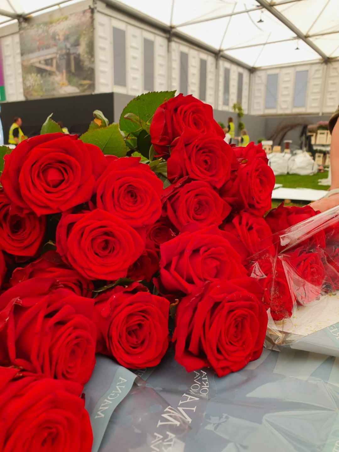 RHS-POST-EVENT-UPDATED-6-1 - Porta Nova