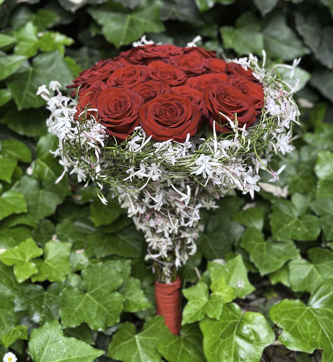 ivan-bergh-porta-nova-9 - Porta Nova