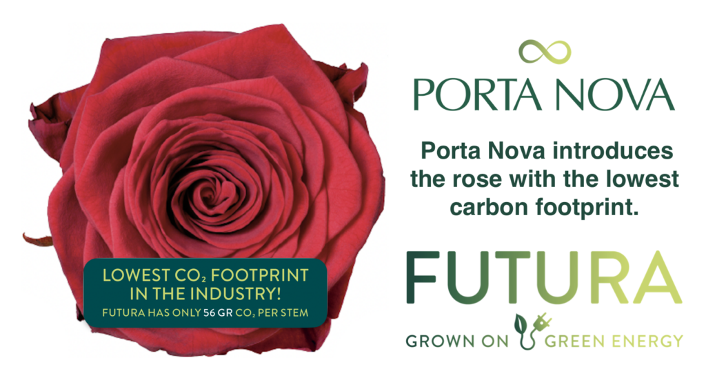 PORTA NOVA, Dedicated to deliver the absolute best quality red roses.