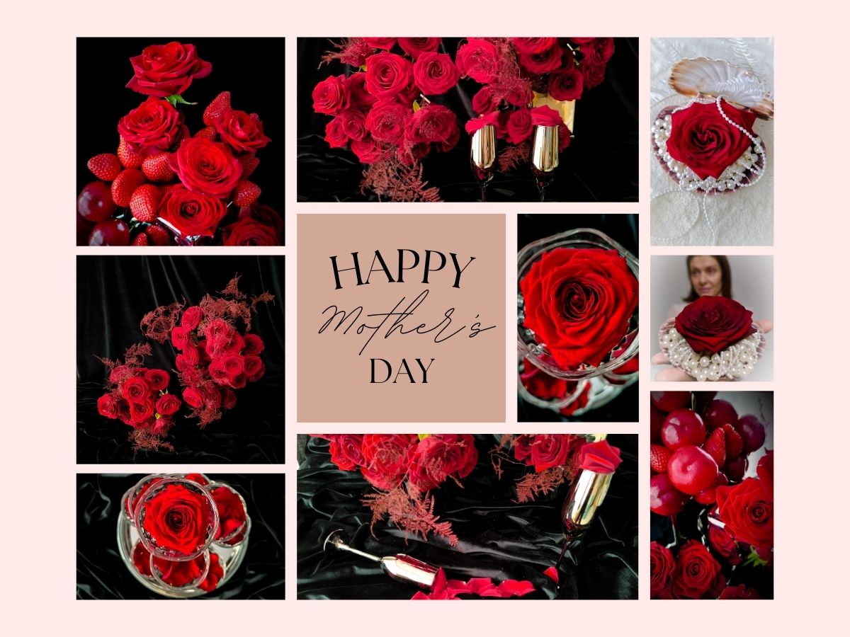 PORTA NOVA, Dedicated to deliver the absolute best quality red roses.