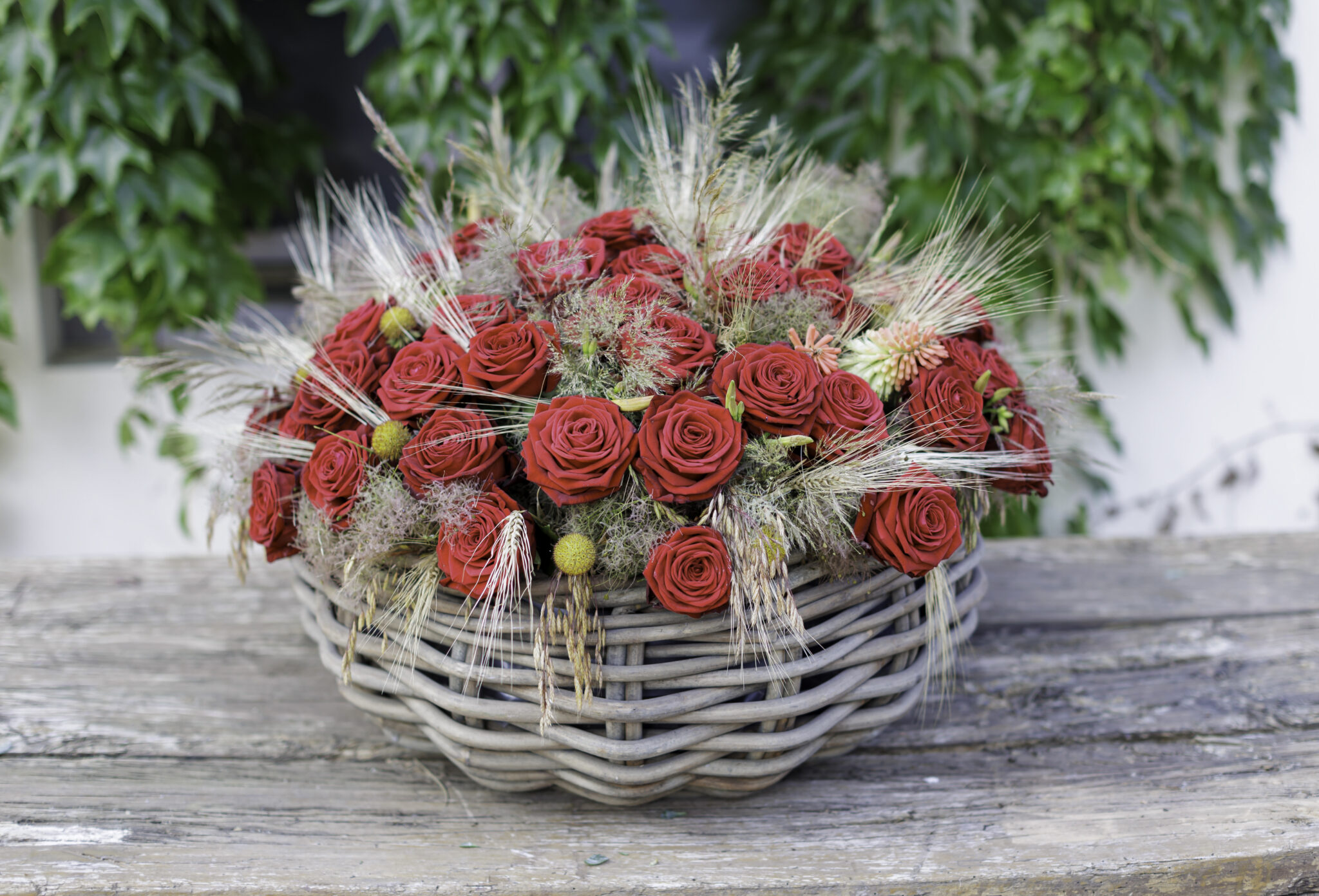 PORTA NOVA, Dedicated to deliver the absolute best quality red roses.