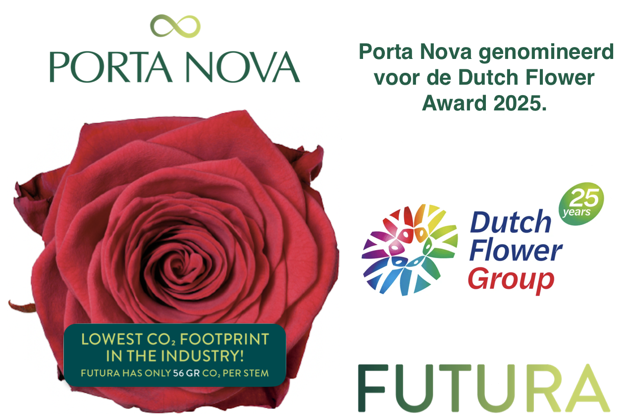 We have been nominated for the Dutch Flower Award 2025